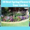 36 Best Spring Flower Ideas for Your Garden - decoraiso.com